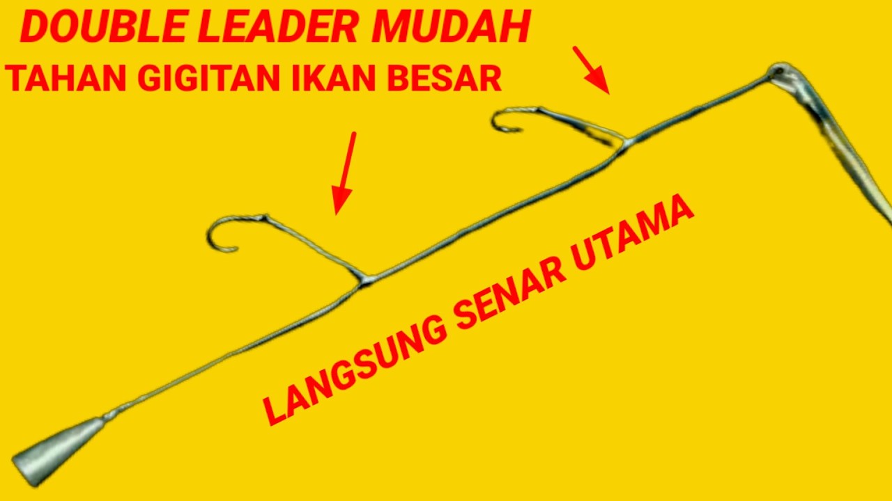 Rangkaian 2 Mata Kail -Double Leader - Simpul T Untuk Pancing Dasaran ...