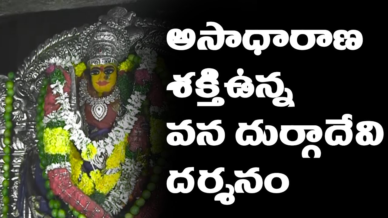 God Vana Durga Devi || Powerful Vana Durga Devi Darshan || Darshanam ...
