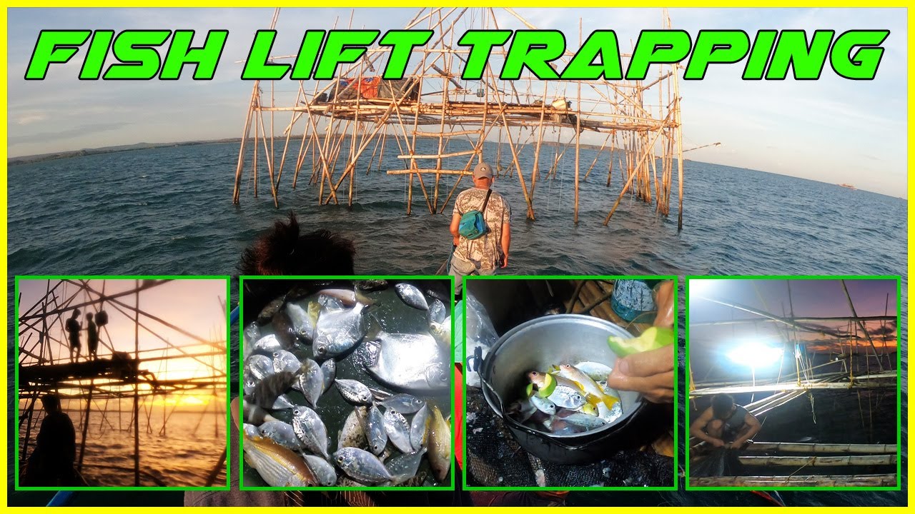 Melvin Fish Lift Trap Series | April 25-26, 2020 - YouTube