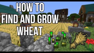 Minecraft Wheat Stages 2567