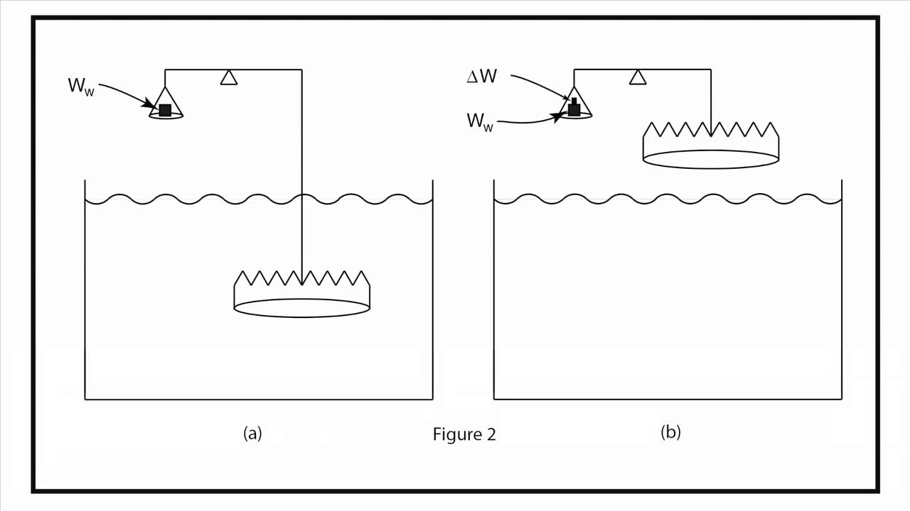 Archimedes, Buoyancy and the Golden Crown - YouTube