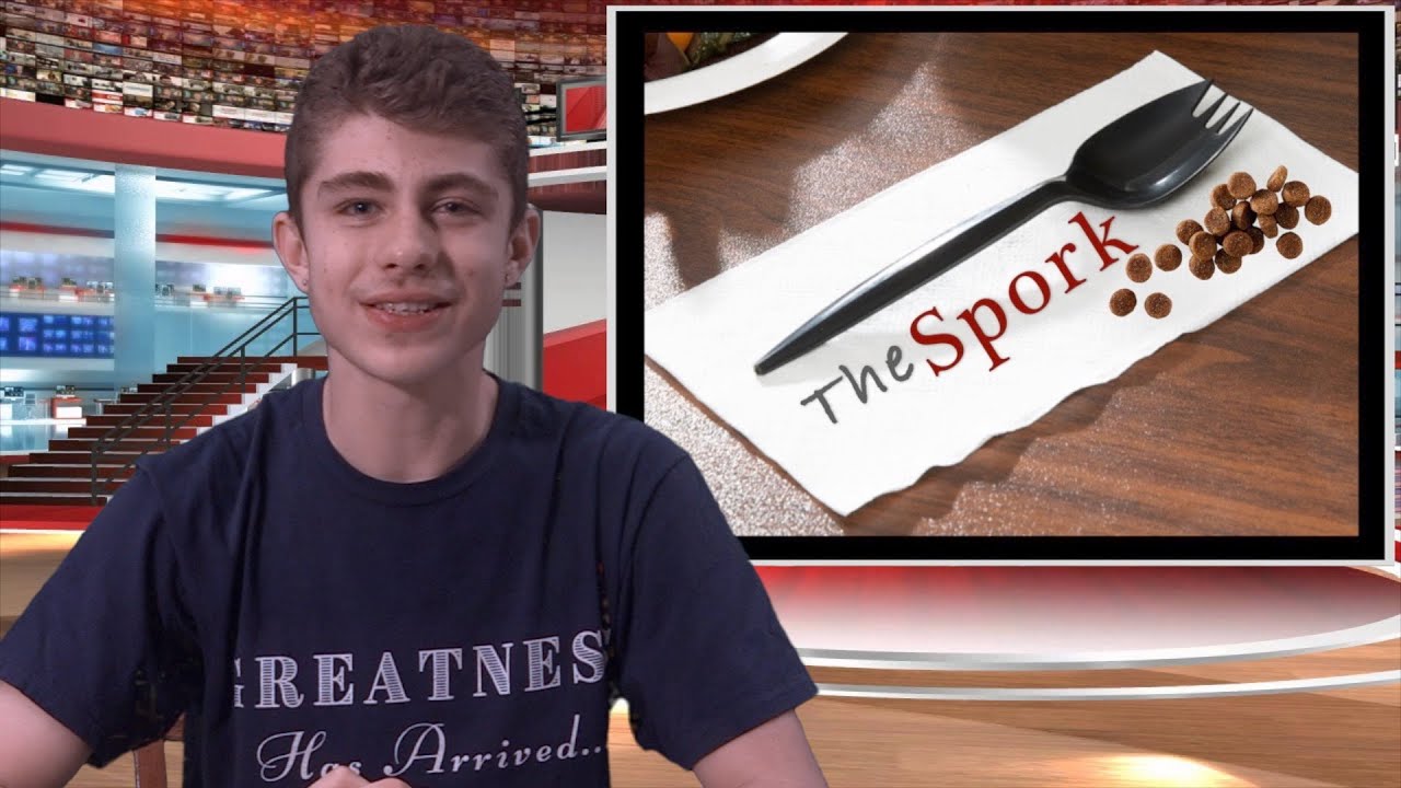 The Spork 11/17/23 - YouTube