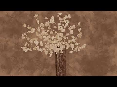 Dream Diary 2 - Foxes can Remarry