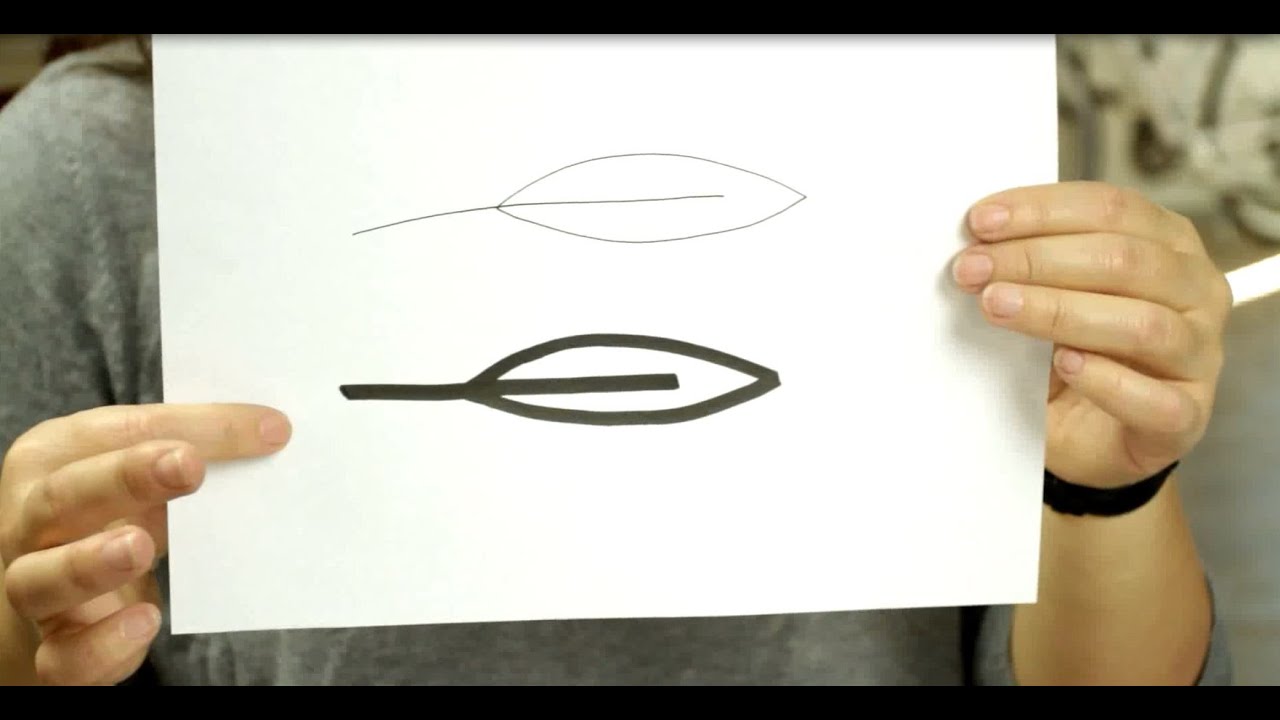 Explore the Different Types of Scans with ScanNCut - YouTube