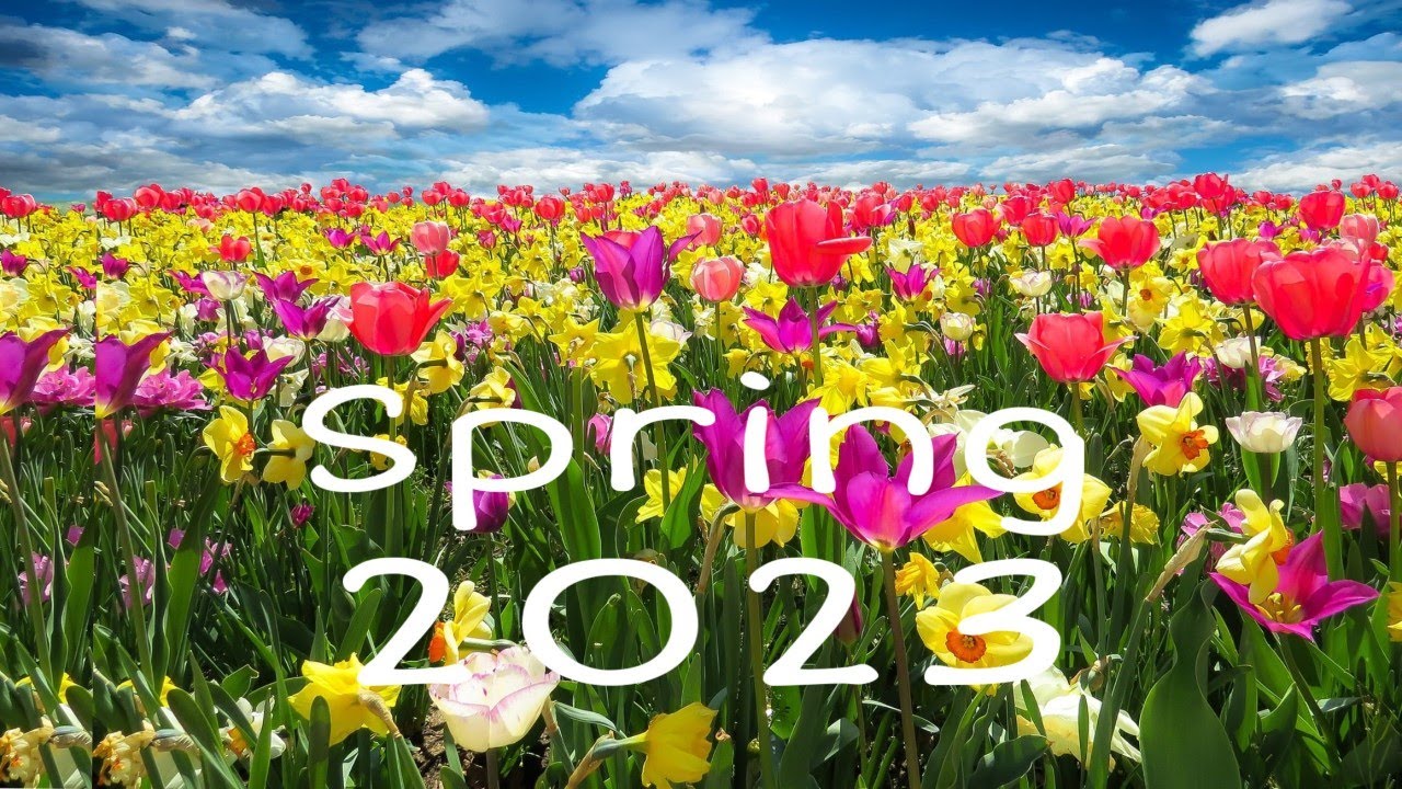 Spring instrumental music: relaxing spring songs for stress relief ...