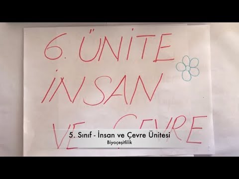 5. Sınıf | İnsan ve Çevre Ünitesi - Biyoçeşitlilik