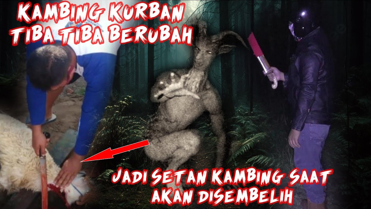 KAMBING KURBAN HOROR - BERUBAH WUJUD SAAT MAU DI SEMBELIH JADI KAMBING ...