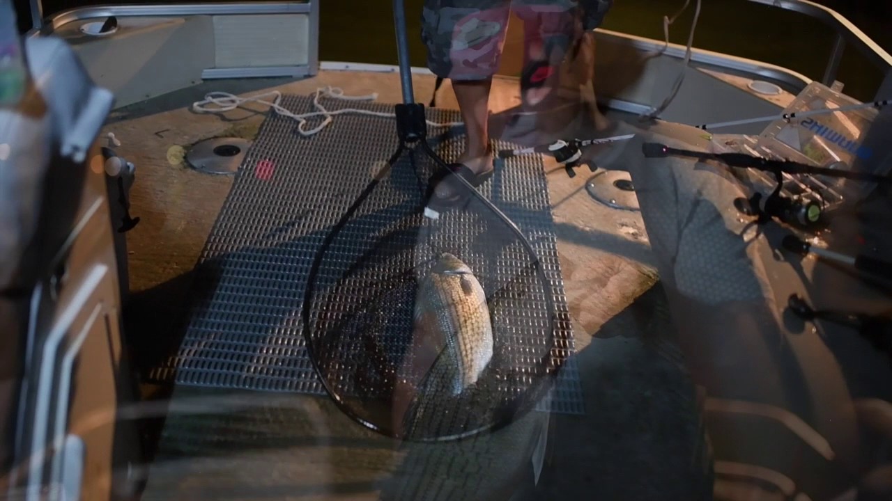 Fishing for Big Hybrid Bass at Night in Texas - YouTube