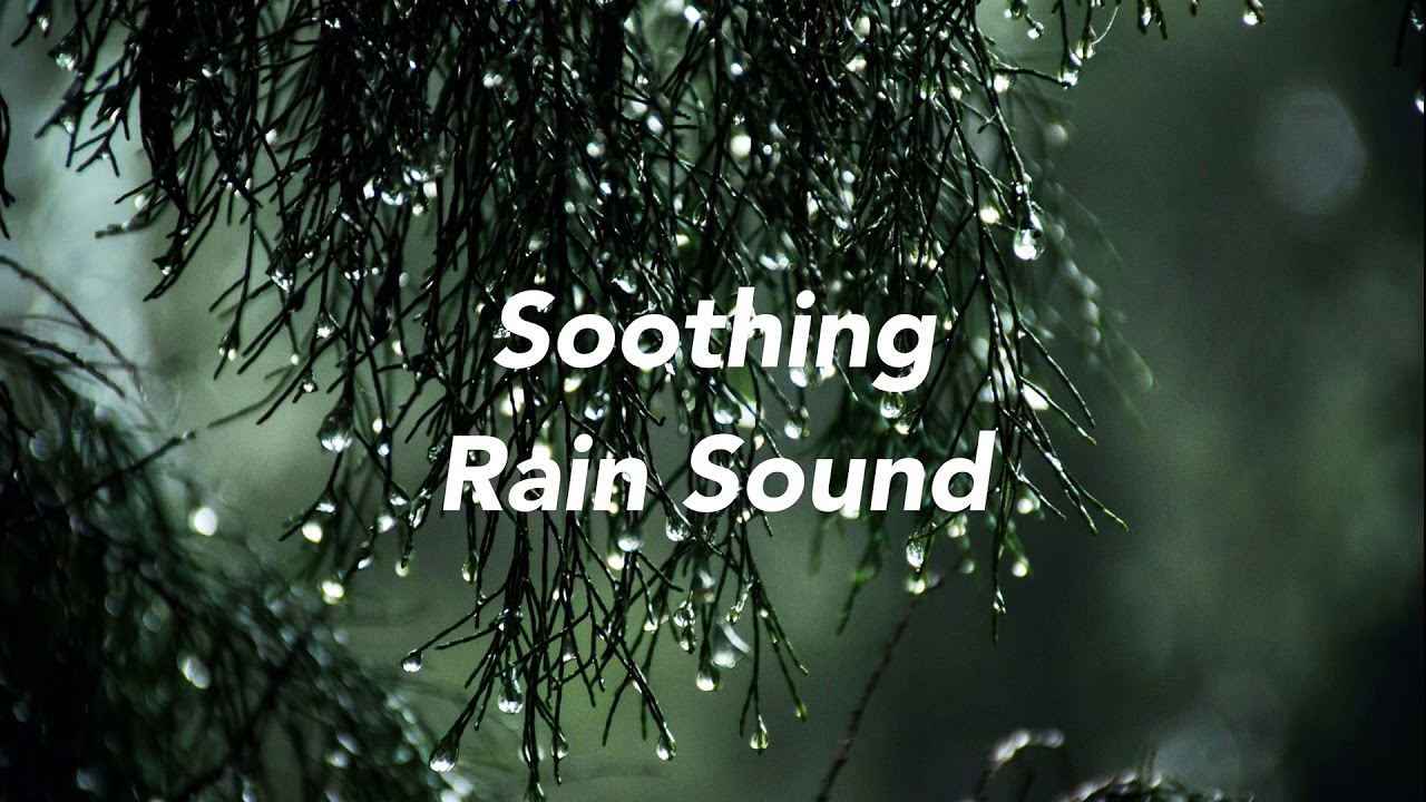 Soothing Rain Sounds - Short Clip - YouTube