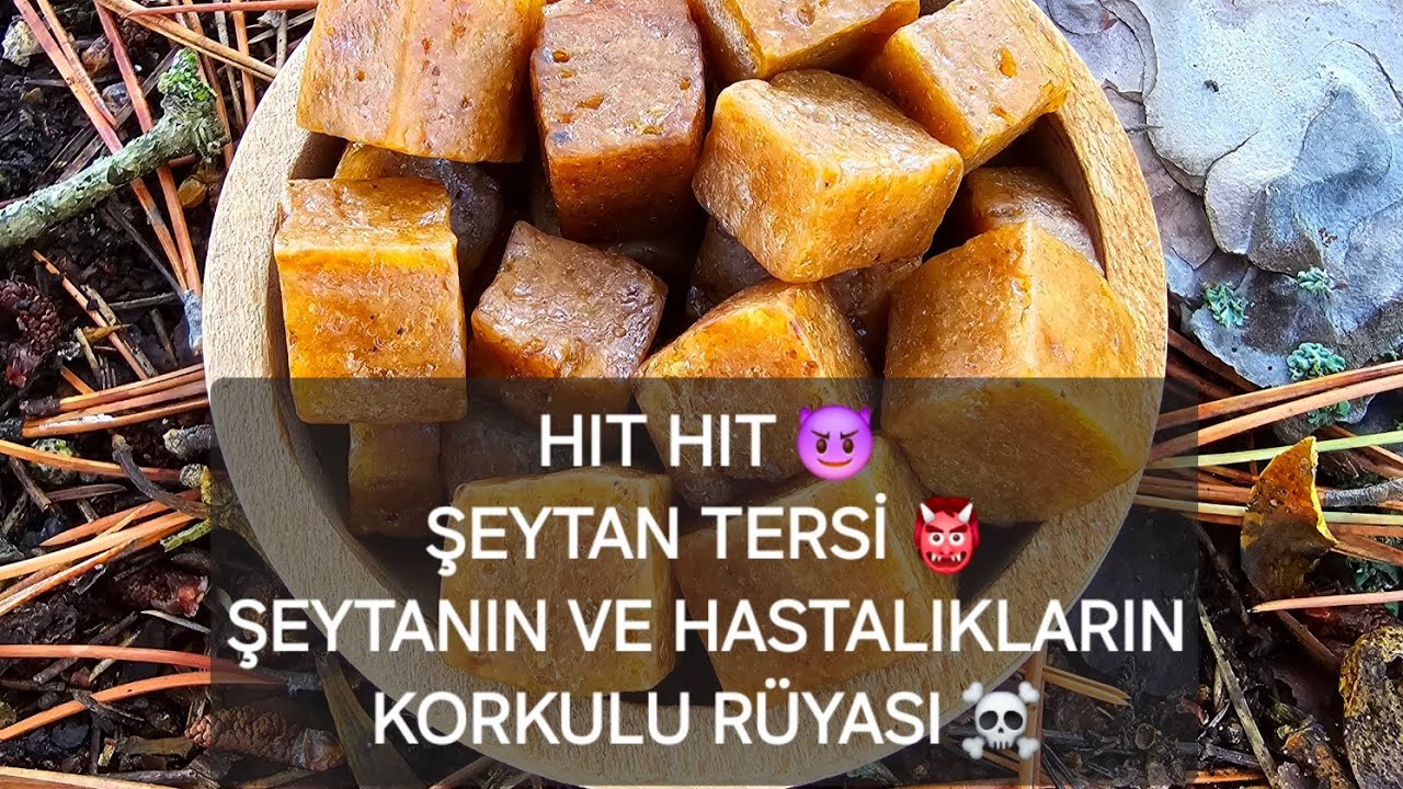ŞEYTAN TERSİ 👹👹👹 HIT HIT ŞİFASI 🌲 - YouTube
