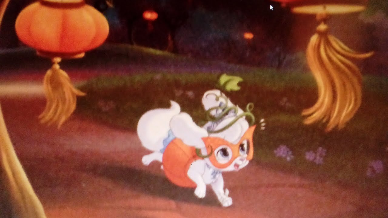 Palace Pet Pumpkin goes to the Halloween ball as a pumpkin at Disney ...