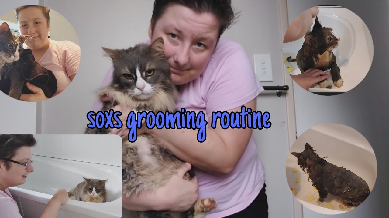 soxs grooming routine - YouTube