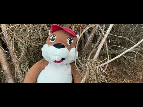 Buc-ee Movie | Short Film