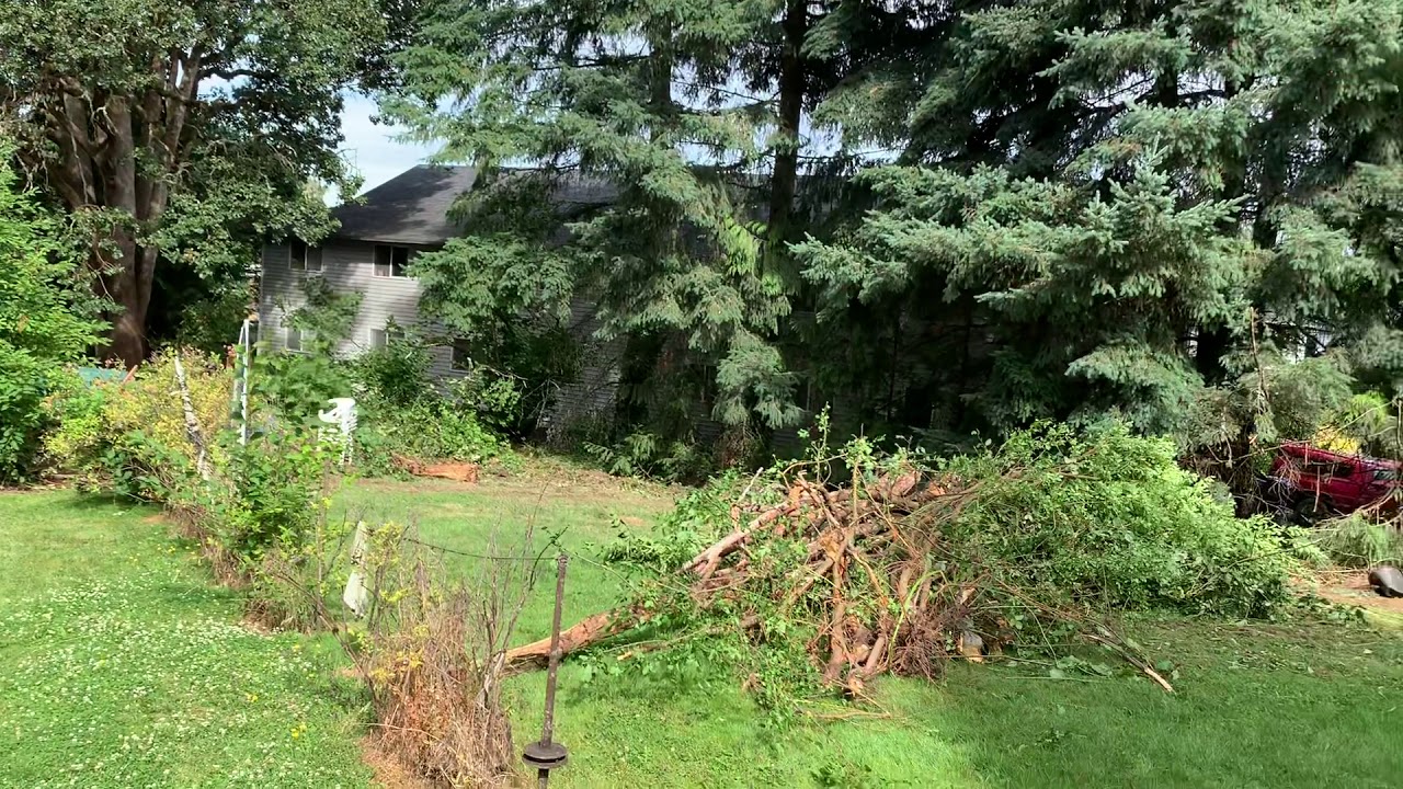 4195 FILBERT HOUSE 7 - YouTube