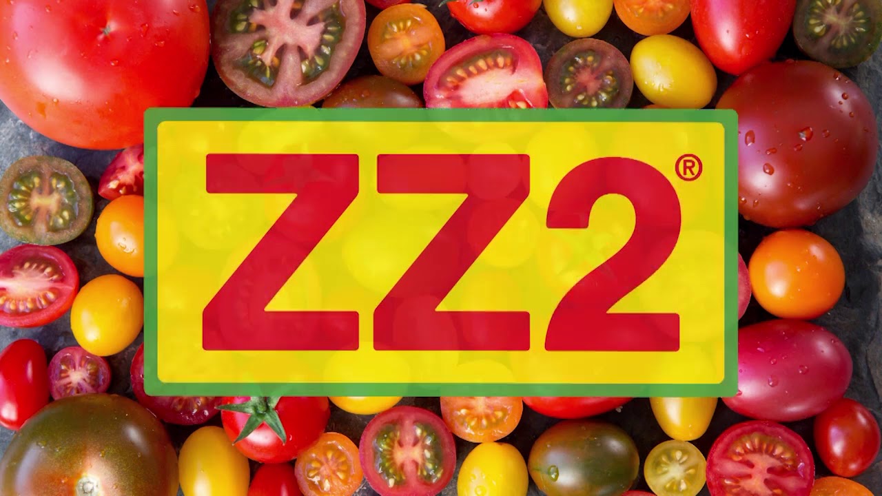 ZZ2 Nuusbrief 20 - YouTube