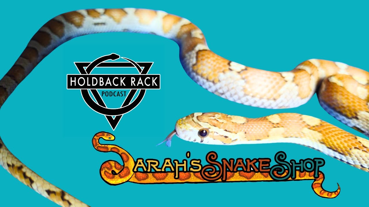 HRP 126 - Corn Snake Market in 2024 with Sarah Mohr-Straley of Sarah's ...
