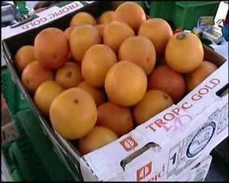 Frott u haxix frisk,health promotion & Disease Prevention Department ...