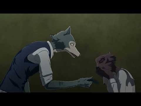 #BEASTARS   Legoshi and Juno Talk