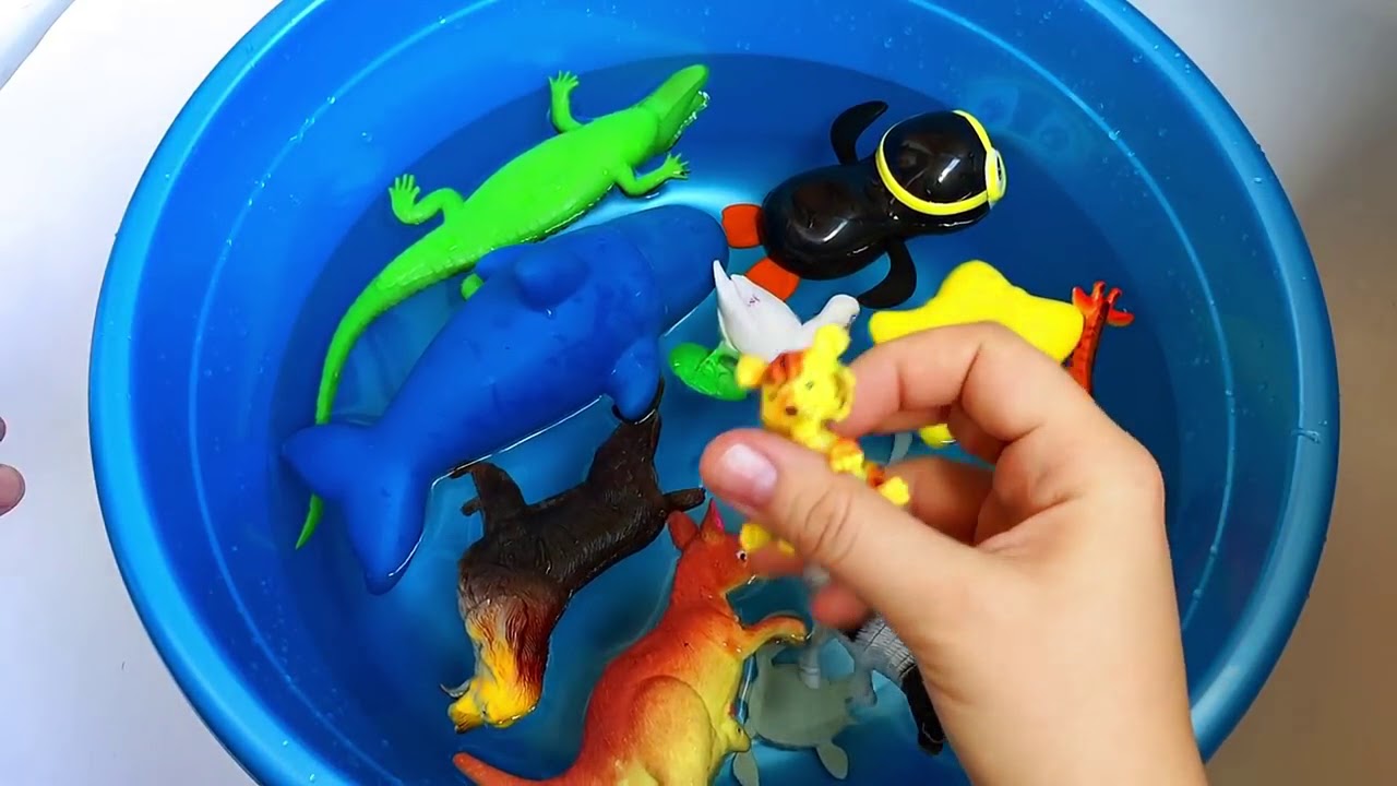 14 Lots of Zoo Wild Animals Farm animals Sea animals Real Safari Videos ...