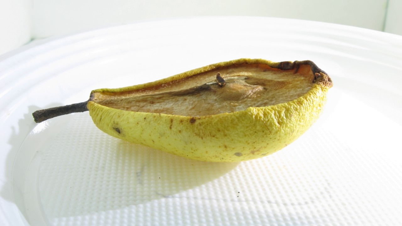 Time lapse of a pear decaying - YouTube