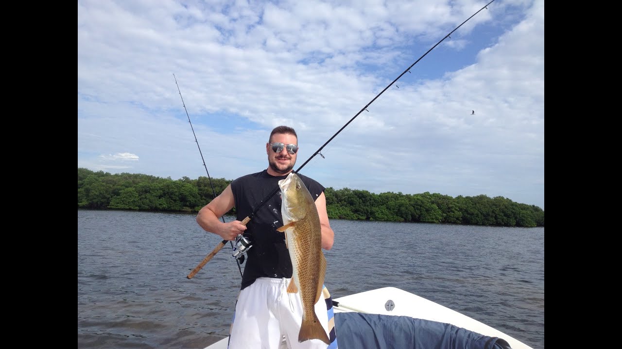 Best City of Tampa Florida Redfishing with Charter Captain David Beede ...