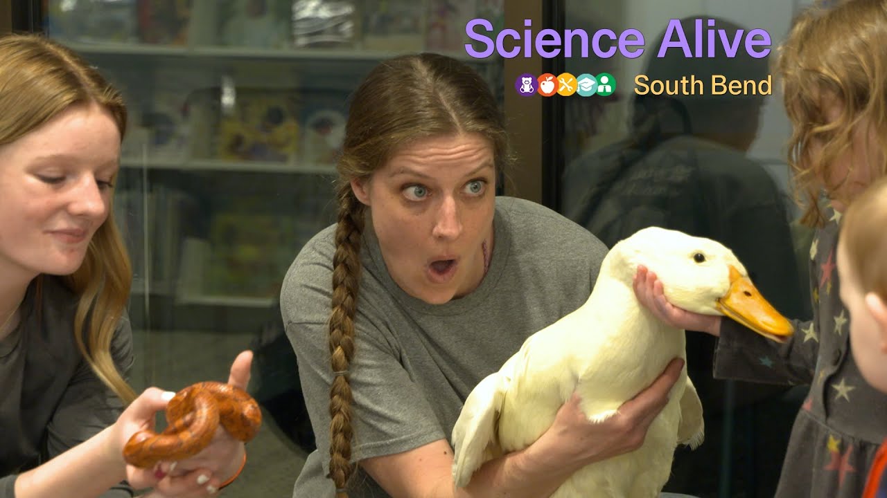 Science Alive 2024 | Education Counts - YouTube
