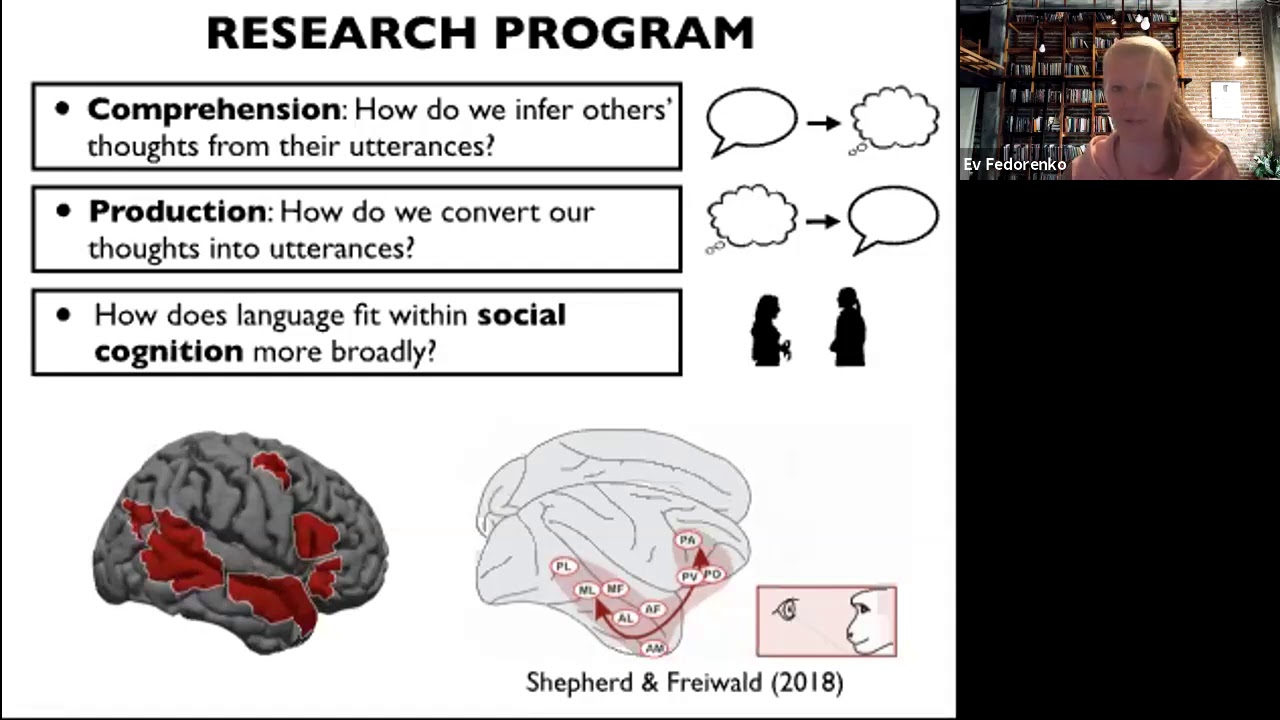 The language system in the human mind and brain (Dr. Ev Fedorenko ...