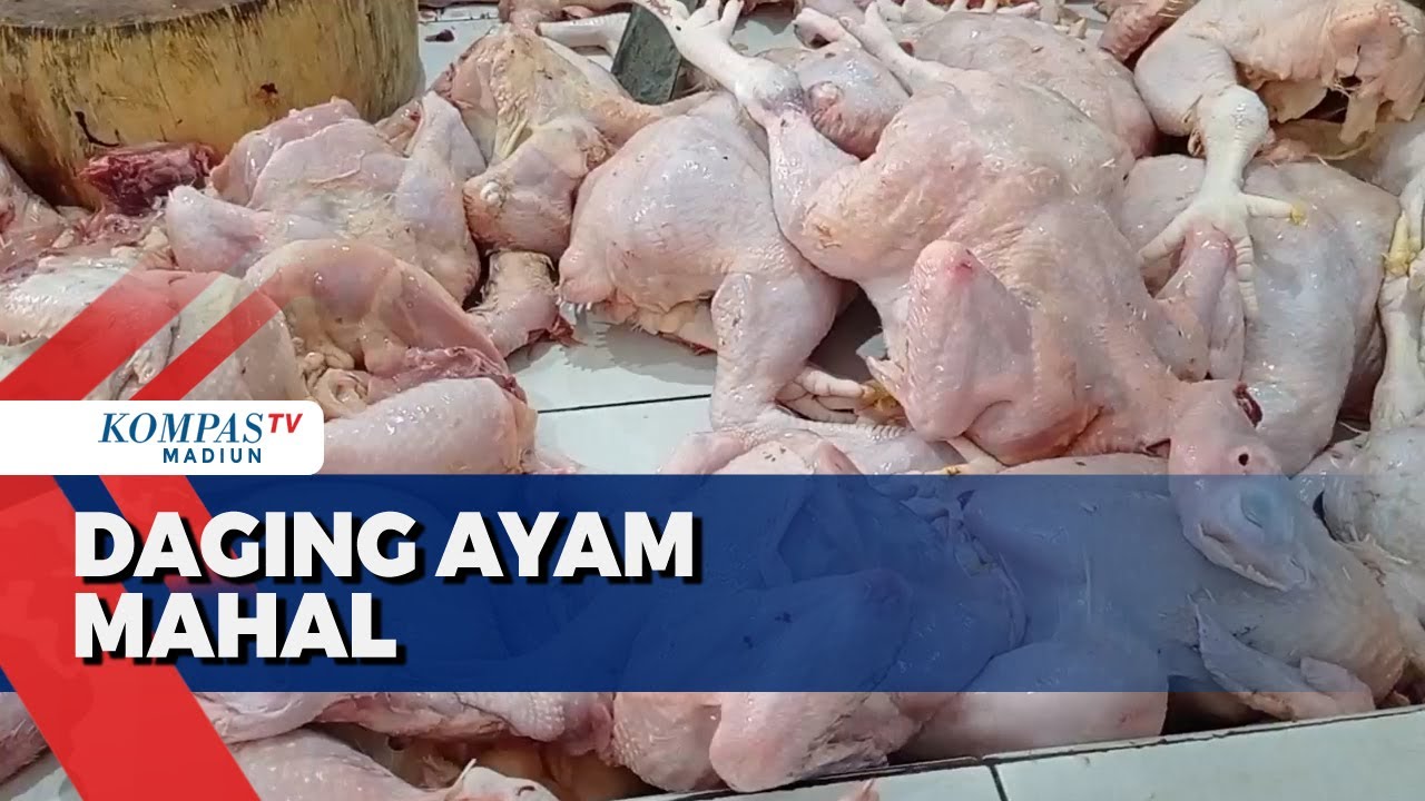 Daging Ayam Mahal Pedagang Dan Pembeli Mengeluh - YouTube