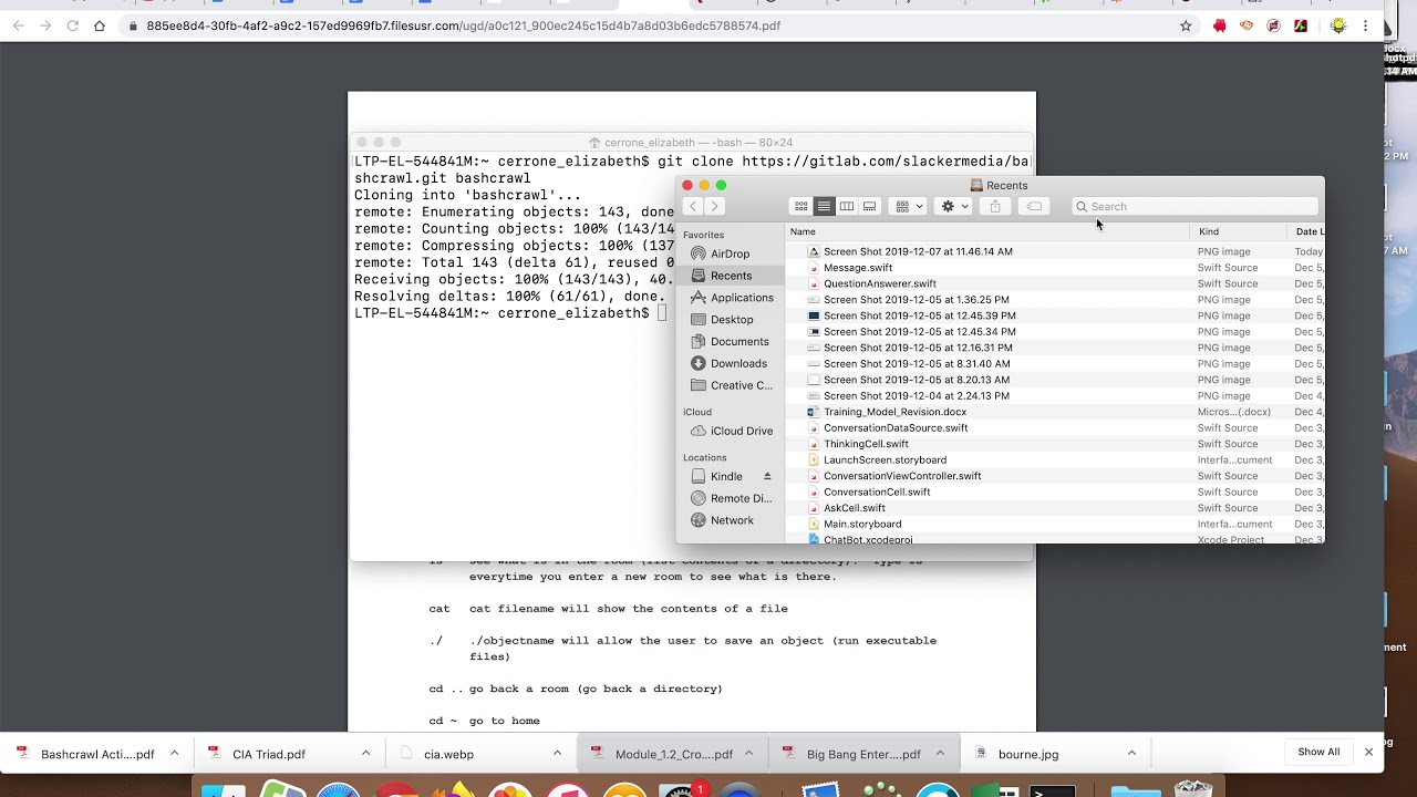Bash Crawl - YouTube