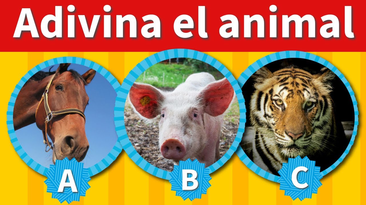 Adivina el animal🐢🐳🐶🦒 ¿Cuántos animales eres capaz de reconocer? Quiz ...