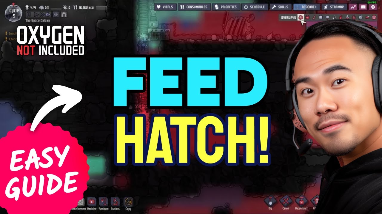 How to FEED HATCH in Oxygen Not Included (Step by Step) - YouTube