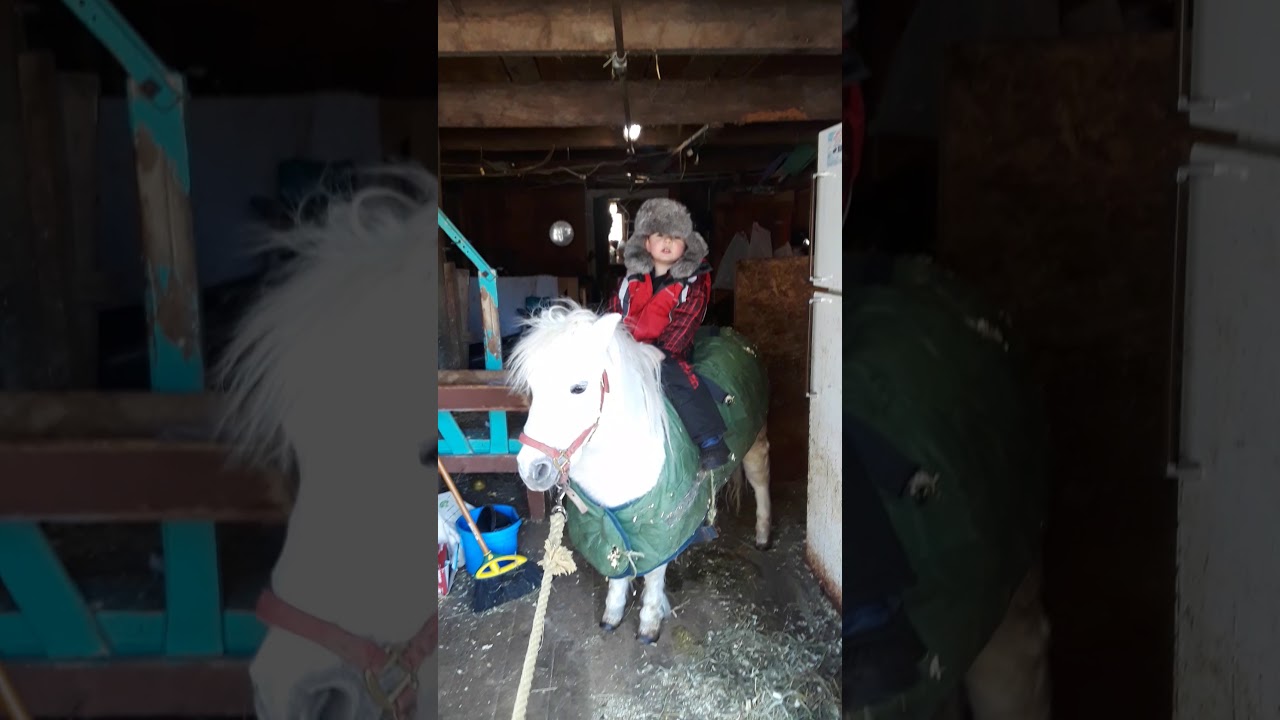 Ruff rider - YouTube