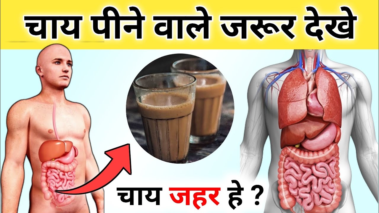 चाय पीने से शरीर में क्या होता है ? chai peene ke nuksan - side effects ...