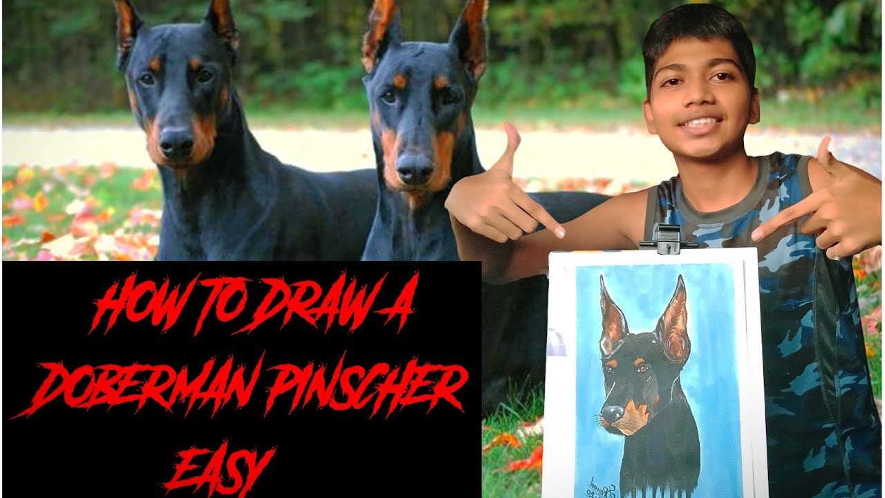How To Draw Doberman | Doberman Drawing Easy - YouTube