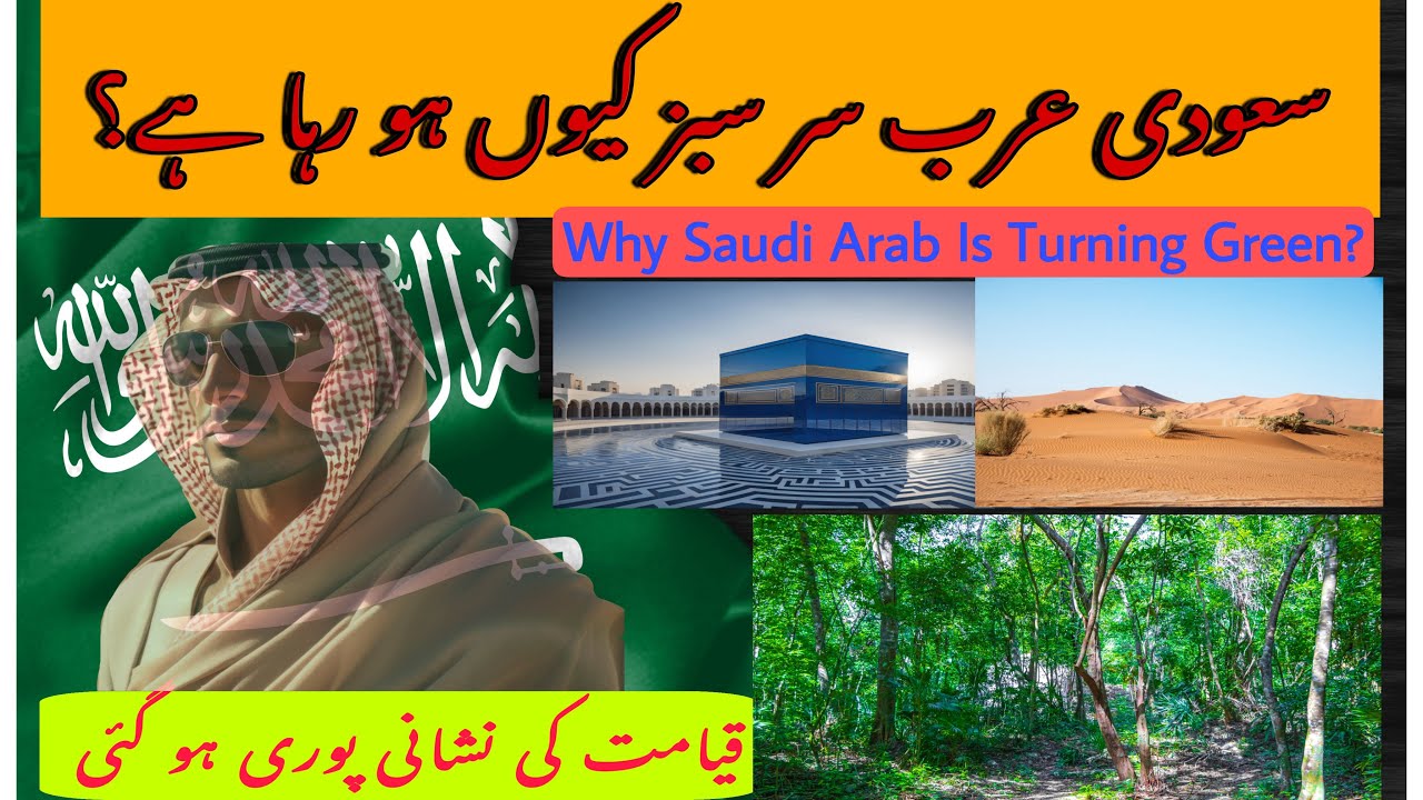 Saudi Arab Turning Green | Saudi Canal | سعودی عرب سر سبز حو رہا ہے ...
