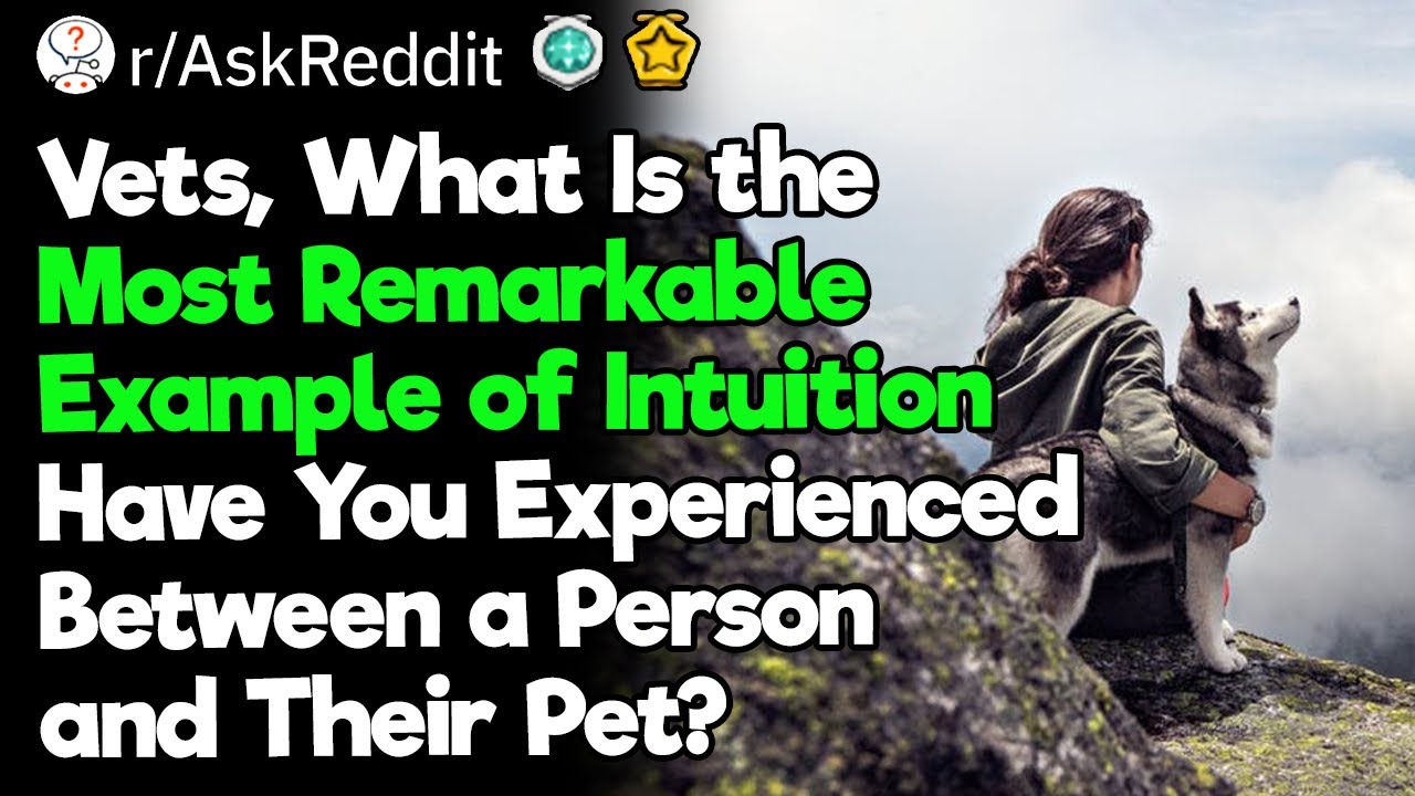 Vets, What’s the Coolest Intuition Between Pets and Owners? - YouTube