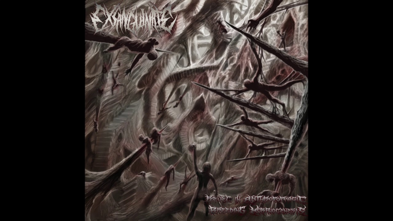 Exsanguinate - Bowel Resection Of Anastomotic Dehiscence - YouTube