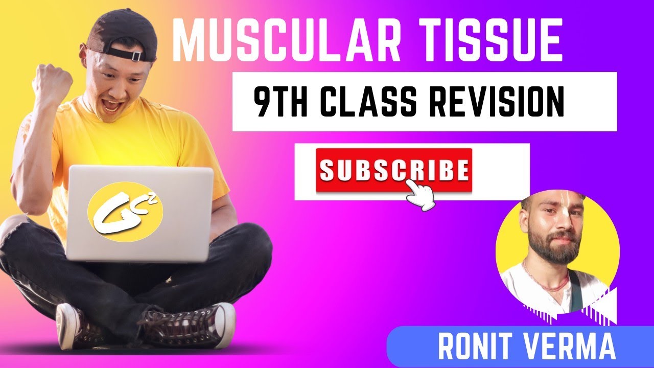 Muscular Tissue ll Muscular tissue types ll class 9th ll Revision by ...