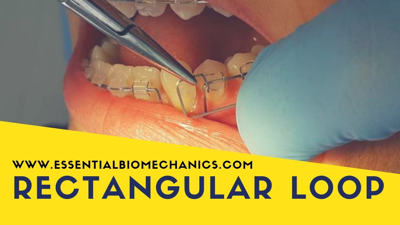 Rectangular loop | Essential Biomechanics - YouTube