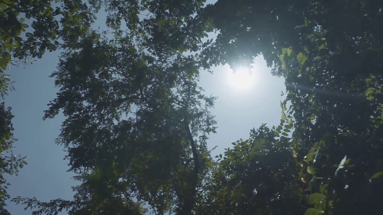 You Won't Believe This Waterfall Is In Nigeria - Matsirga Waterfalls ...