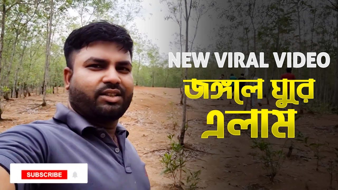 Madhupur National Park The Gateway to Jungle || Tours In Tangail ...