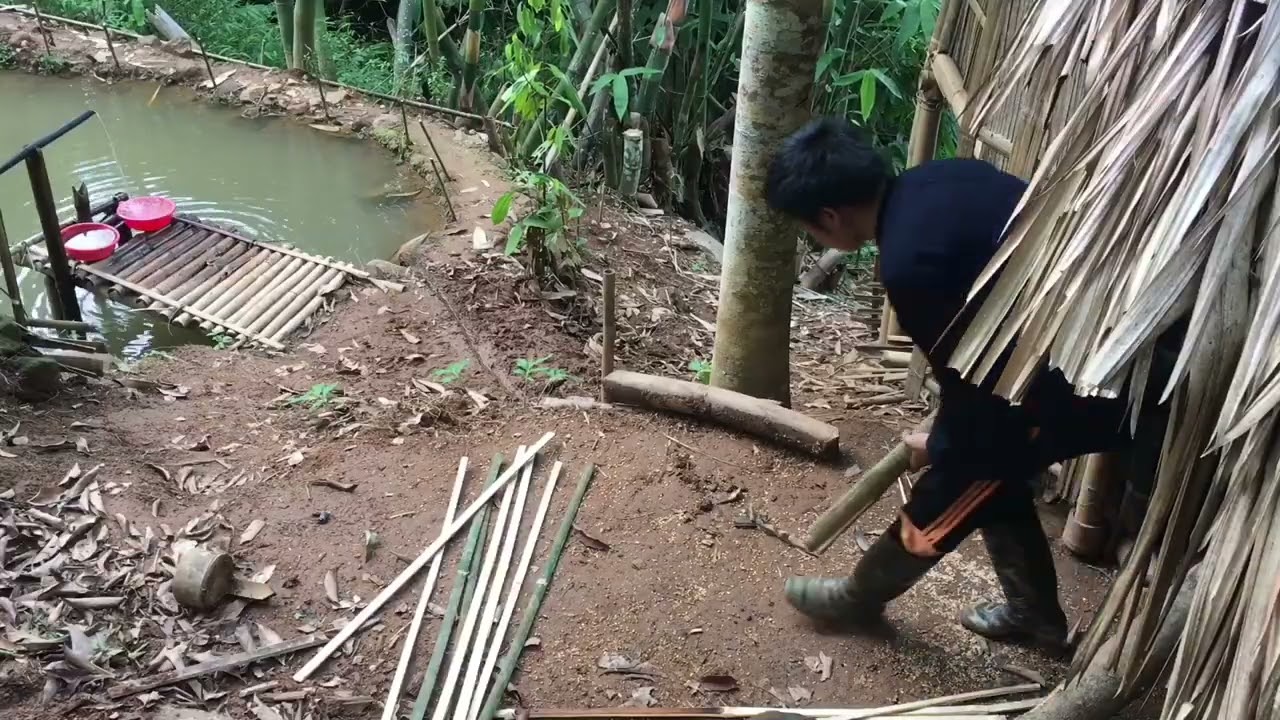 Ep 34, Building new life, building wild life, farm, freelife, bushcraft ...