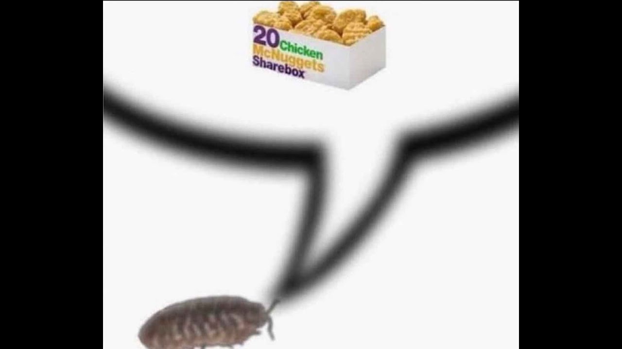 doing anything lol - YouTube