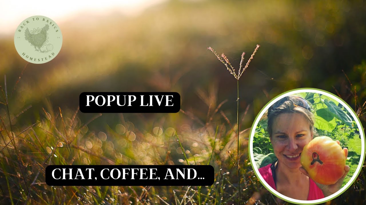 Popup live | Come have a chat and coffee | I did a thing 😁 - YouTube