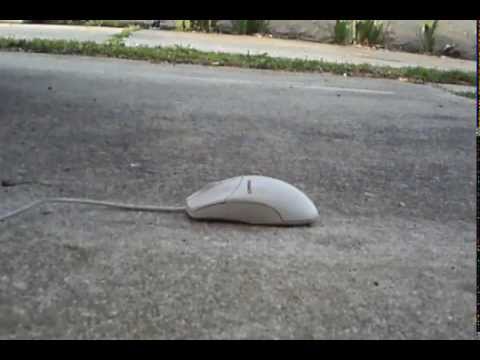 Computer mouse crushed - YouTube