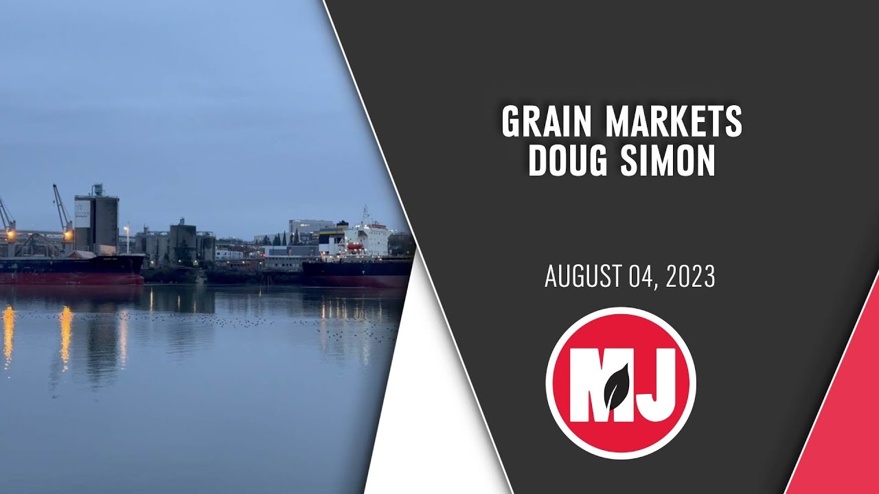Grain Markets | Doug Simon | August 04, 2023 - YouTube