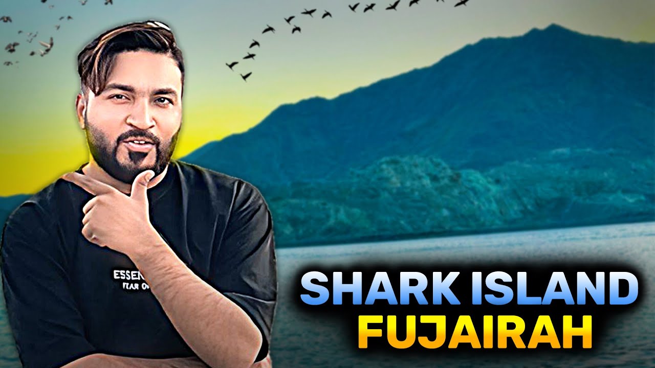 Shark 🦈 island 🏝️ Fujairah, Trip with Family - YouTube
