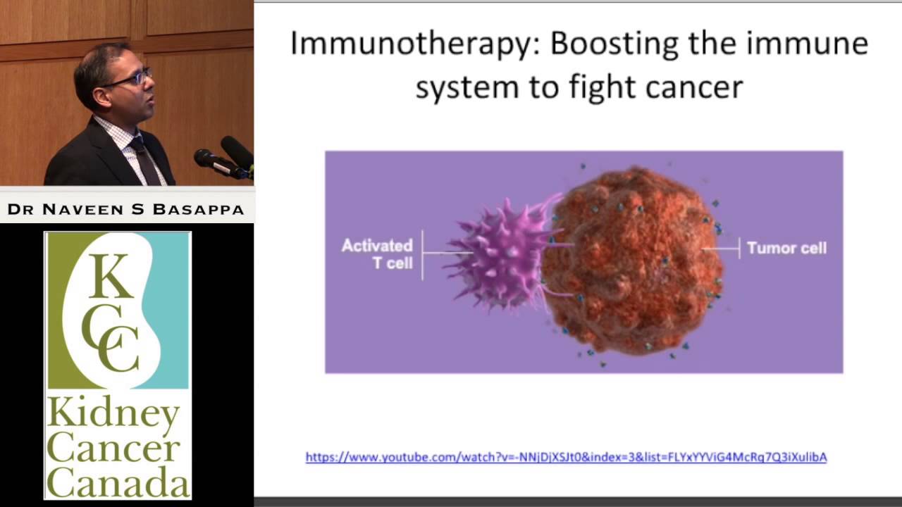 Edmonton Meeting Sept 17, 2014 Naveen S. Basappa - YouTube