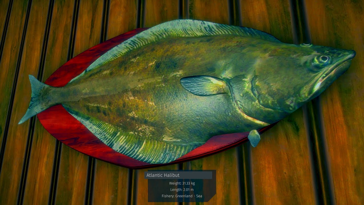 Atlantic Halibut Ultimate Fishing Simulator - YouTube