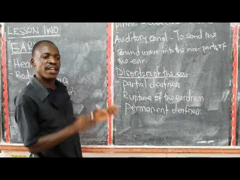 Primary Four - Science Lesson two - YouTube